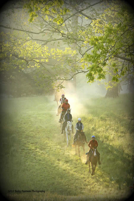 Biltmore endurance Home Page